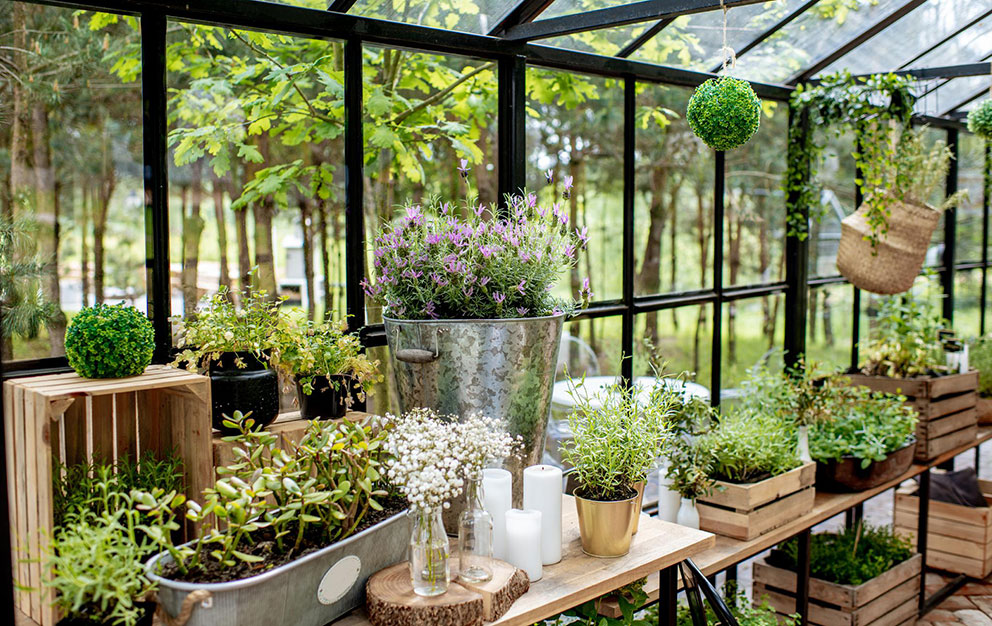 Spectrum Landscaping: Utah’s Best Lawn Care Service