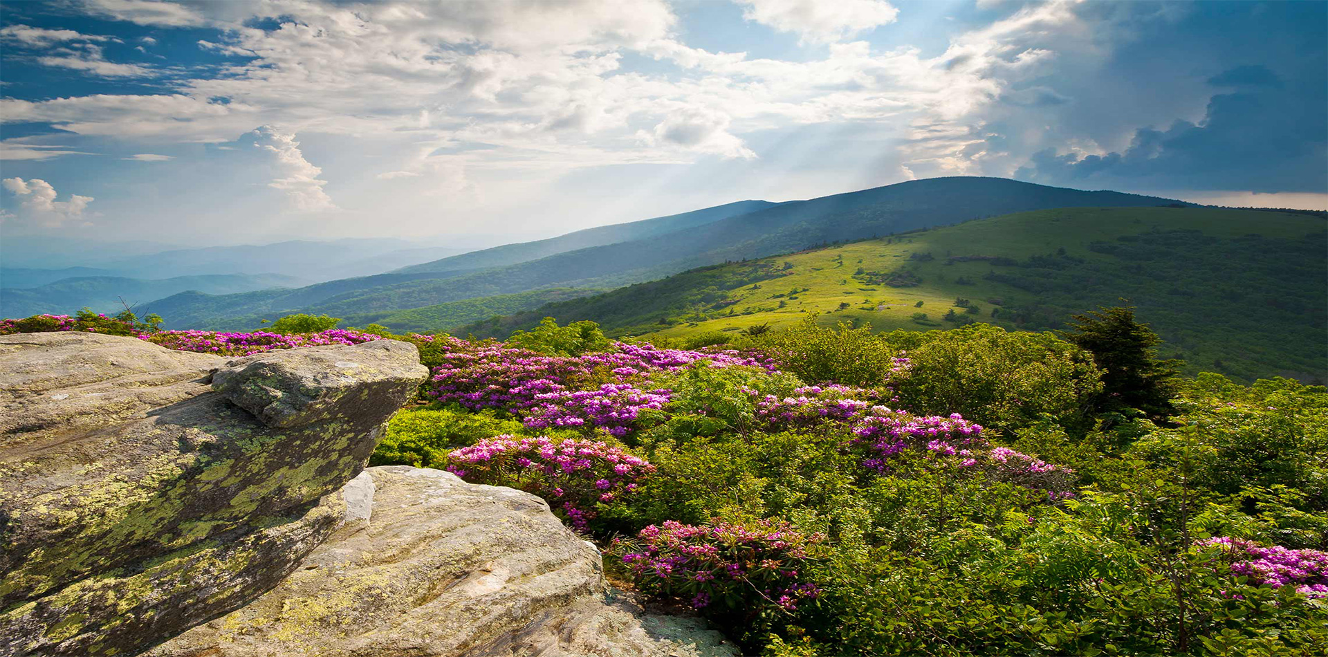 Spectrum Landscaping: Utah’s Best Lawn Care Service
